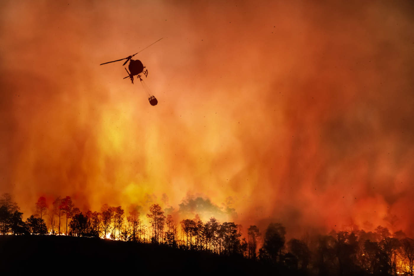 Em 2024, Amazonas registra 21,6 mil queimadas e tem o pior número em 26 ...
